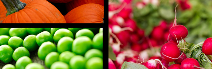 October Seasonality Guide | Paramount Events Chicago October Seasonality Guide | Paramount Events Chicago