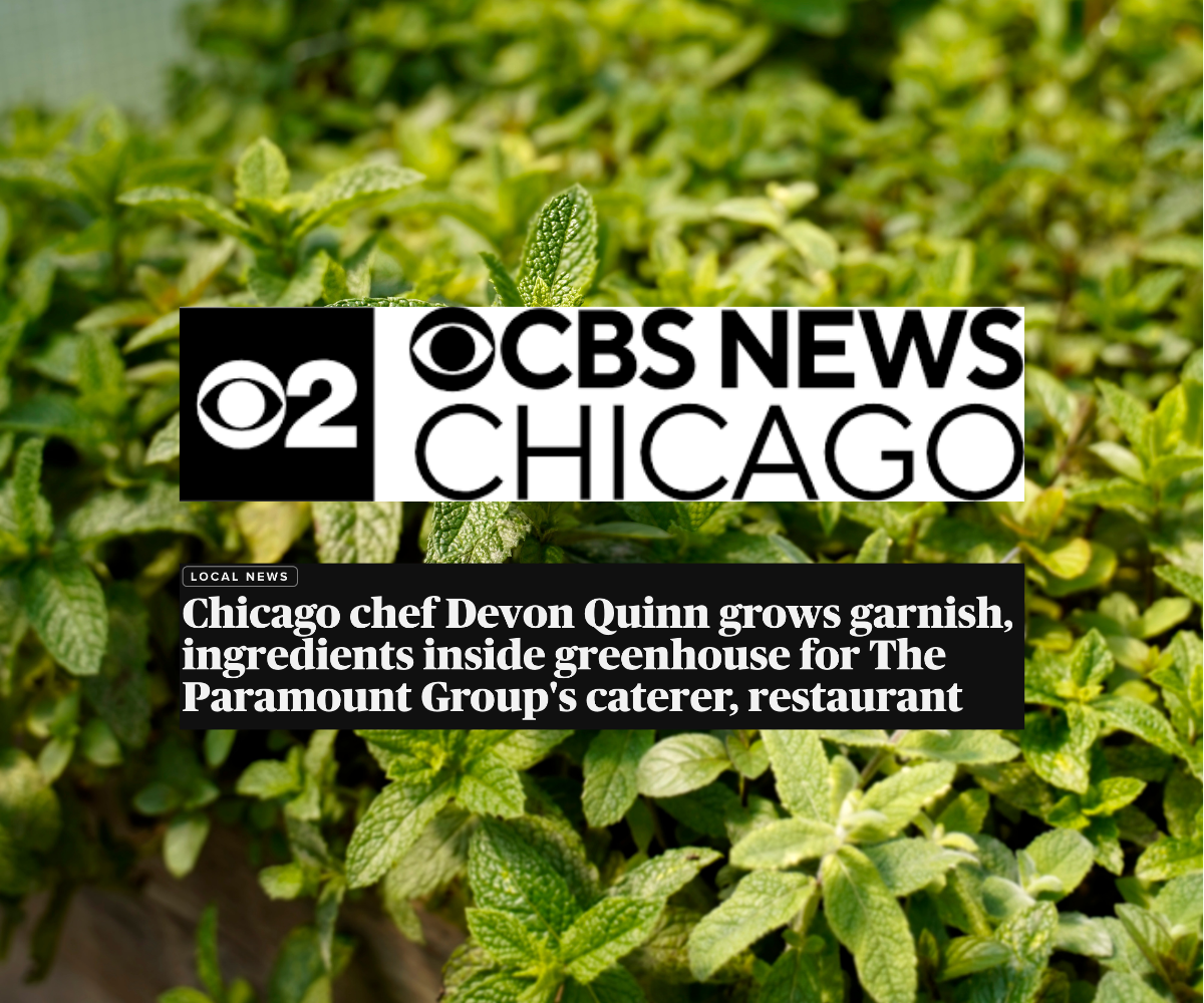 CBS2 Joins Chef Devon Quinn at Our On-Site Greenhouse